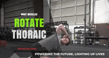 How To Rotate Your Forearm: Muscles Involved | CyVigor