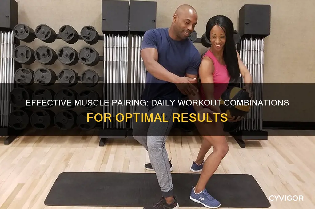Effective Muscle Pairing: Daily Workout Combinations For Optimal ...