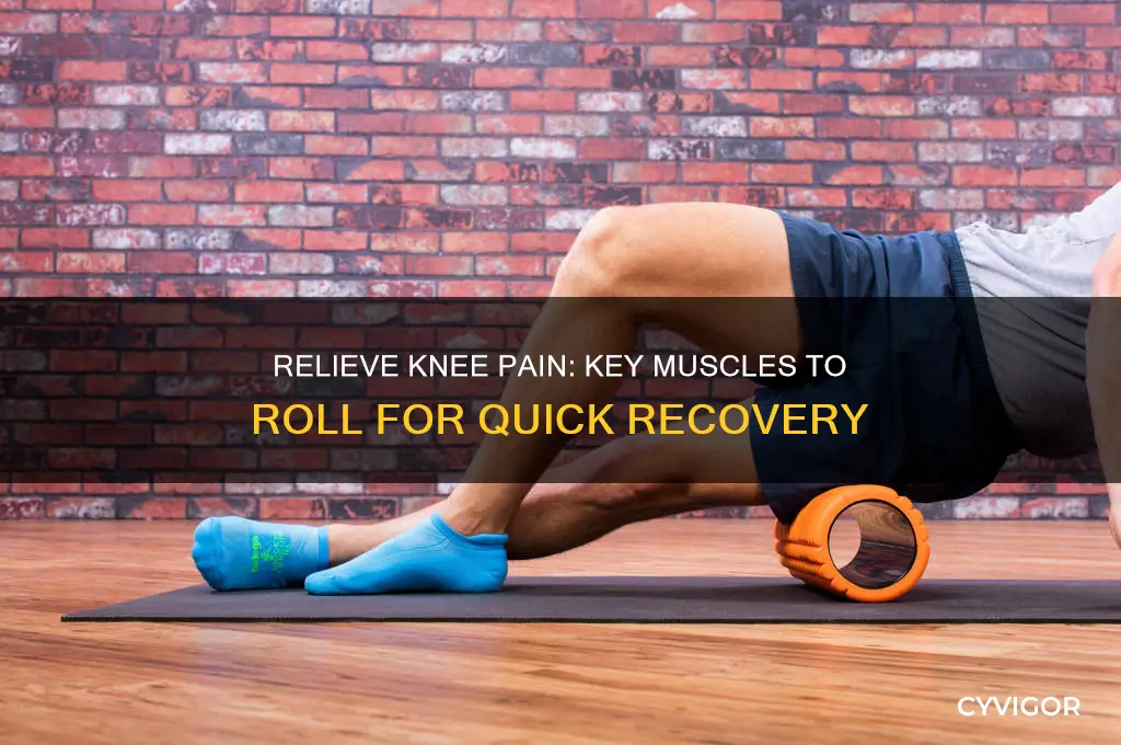 Relieve Knee Pain: Key Muscles To Roll For Quick Recovery | CyVigor