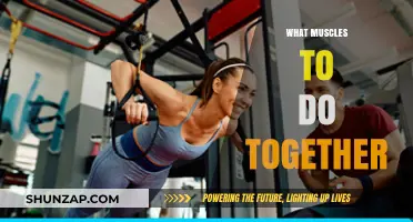 The Muscles Around Your Biceps: A Comprehensive Guide | CyVigor