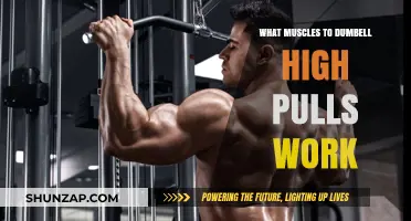 Lateral Step-Ups: Targeting Glutes, Quads, And Outer Thigh Muscles ...
