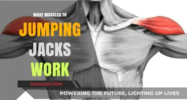 Back Squats: Target Muscles And Full-Body Strength Benefits Explained ...