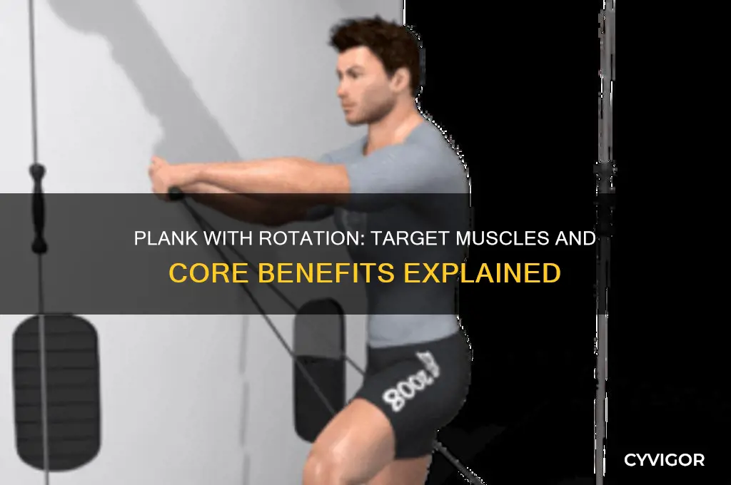 Plank With Rotation: Target Muscles And Core Benefits Explained | CyVigor