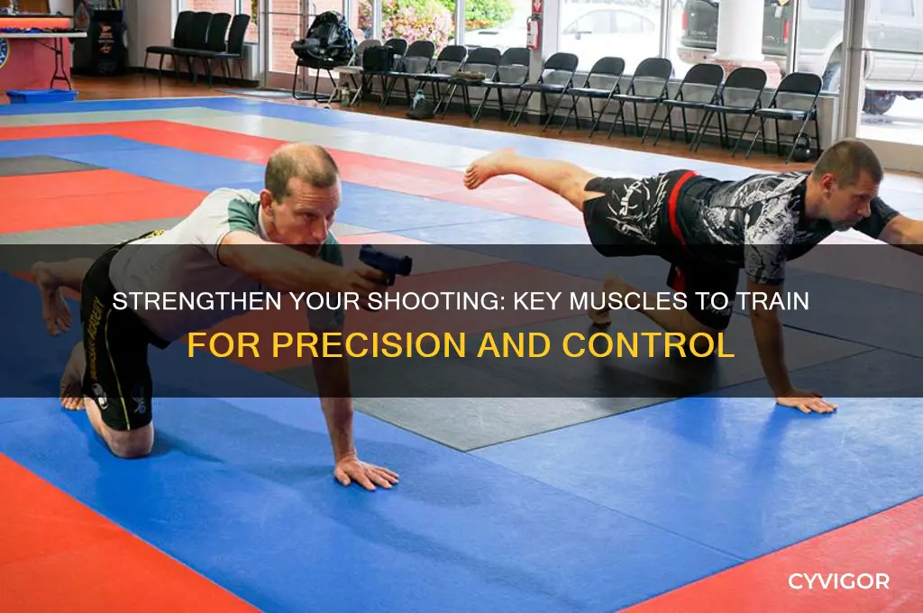 Strengthen Your Shooting: Key Muscles To Train For Precision And ...