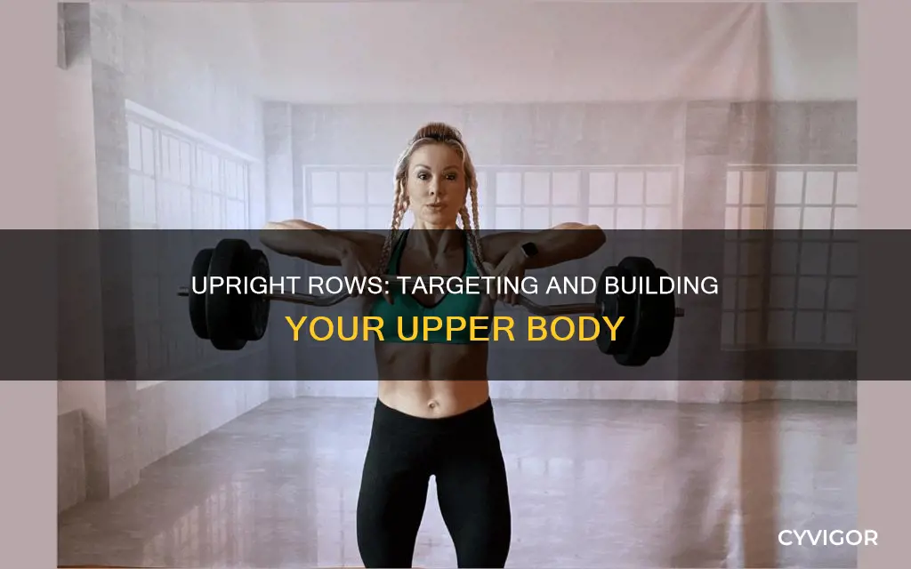 Upright Rows: Targeting And Building Your Upper Body | CyVigor
