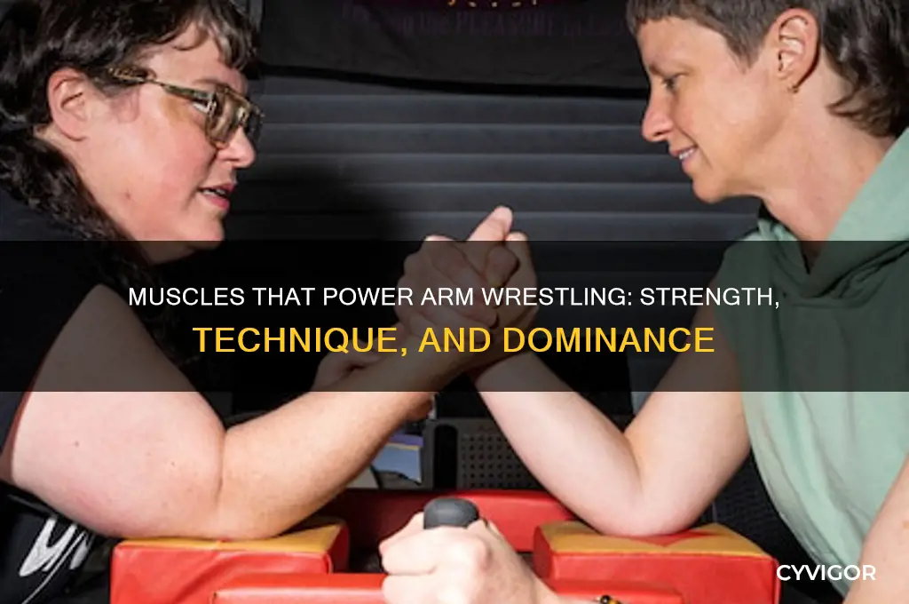 Muscles That Power Arm Wrestling: Strength, Technique, And Dominance ...