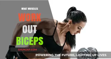Understanding Antagonistic Muscle Pairs: How Opposing Muscles Work ...