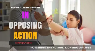 Hand Extension Muscles: Understanding The Key Players In Wrist And ...