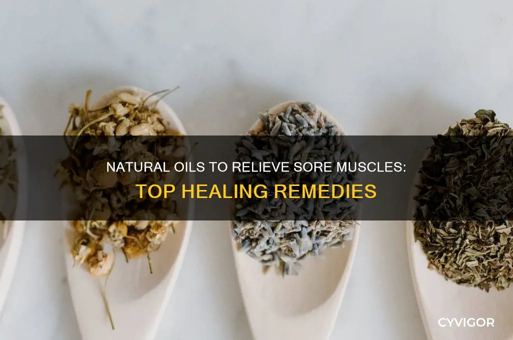 Natural Oils To Relieve Sore Muscles: Top Healing Remedies | CyVigor