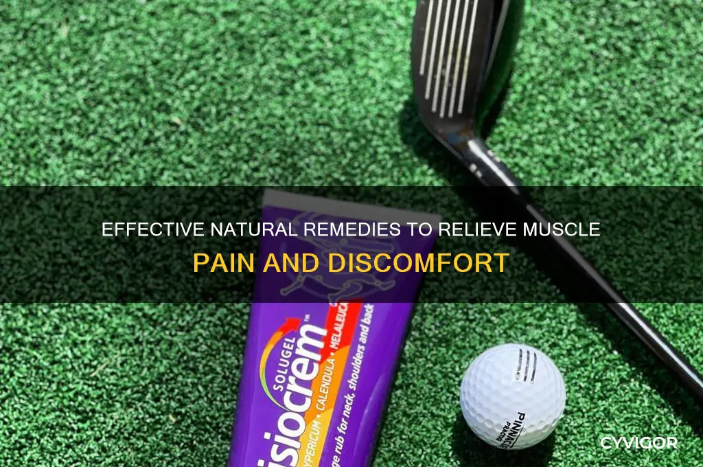 Effective Natural Remedies To Relieve Muscle Pain And Discomfort | CyVigor