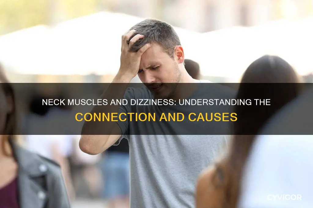 Neck Muscles And Dizziness: Understanding The Connection And Causes ...