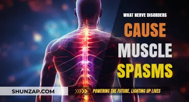 Understanding Muscle Twitching: Neurological Disorders Behind This ...