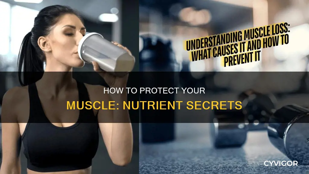 How To Protect Your Muscle: Nutrient Secrets | CyVigor