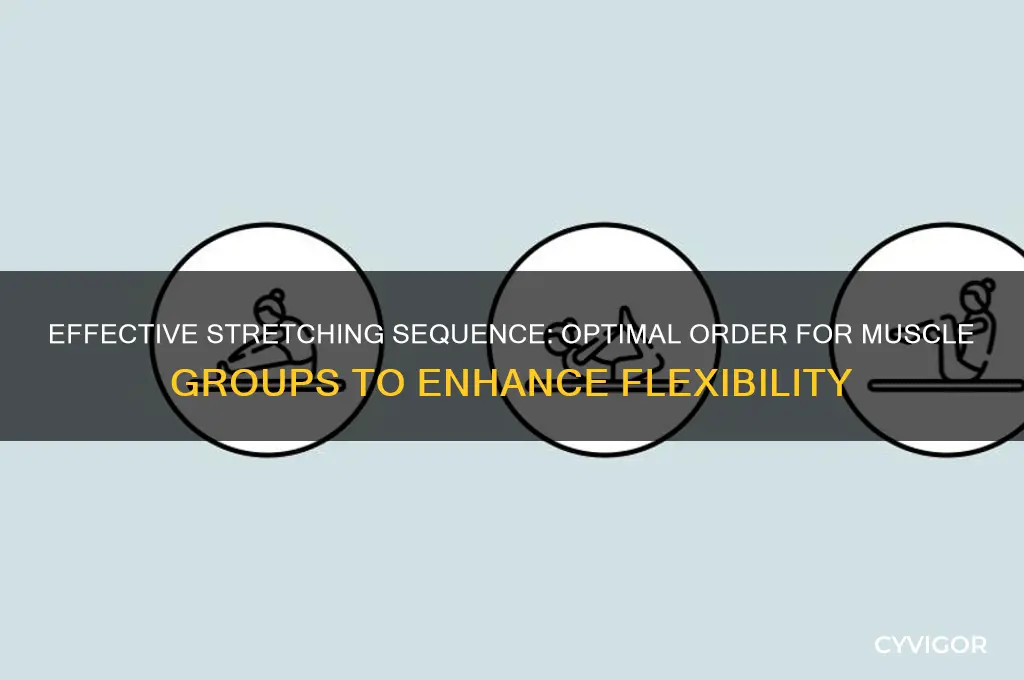 Effective Stretching Sequence: Optimal Order For Muscle Groups To ...
