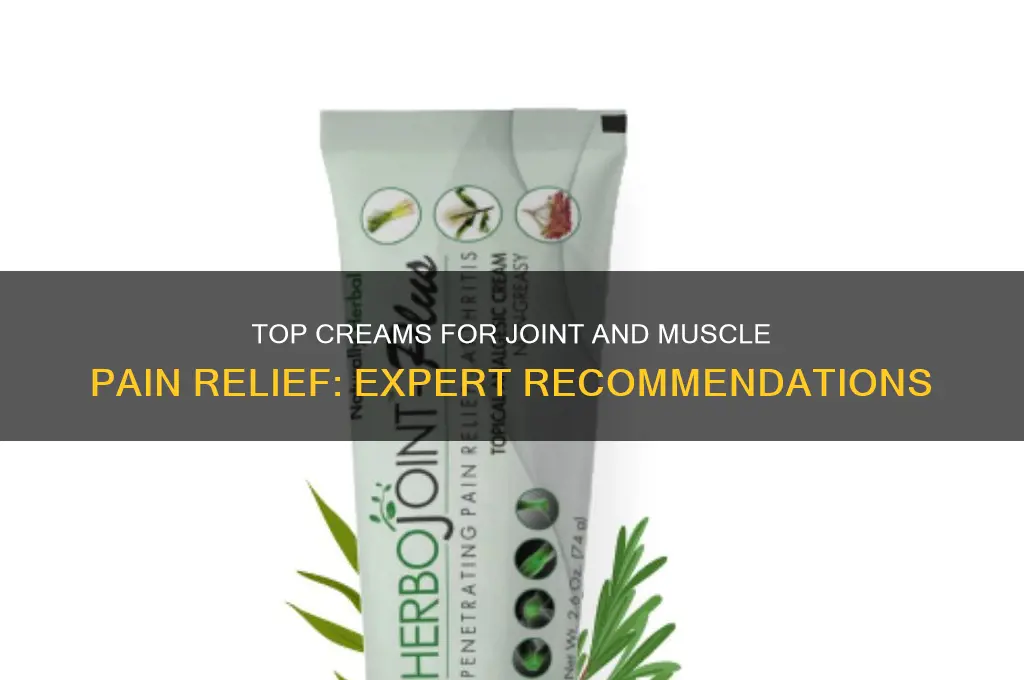 Top Creams For Joint And Muscle Pain Relief: Expert Recommendations ...