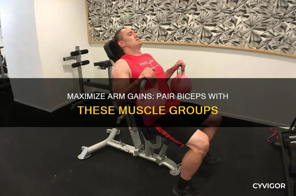 Maximize Arm Gains: Pair Biceps With These Muscle Groups | CyVigor