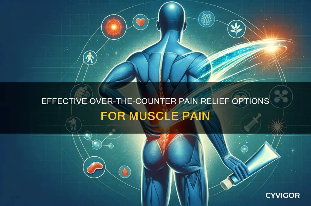 Effective Over-The-Counter Pain Relief Options For Muscle Pain | CyVigor