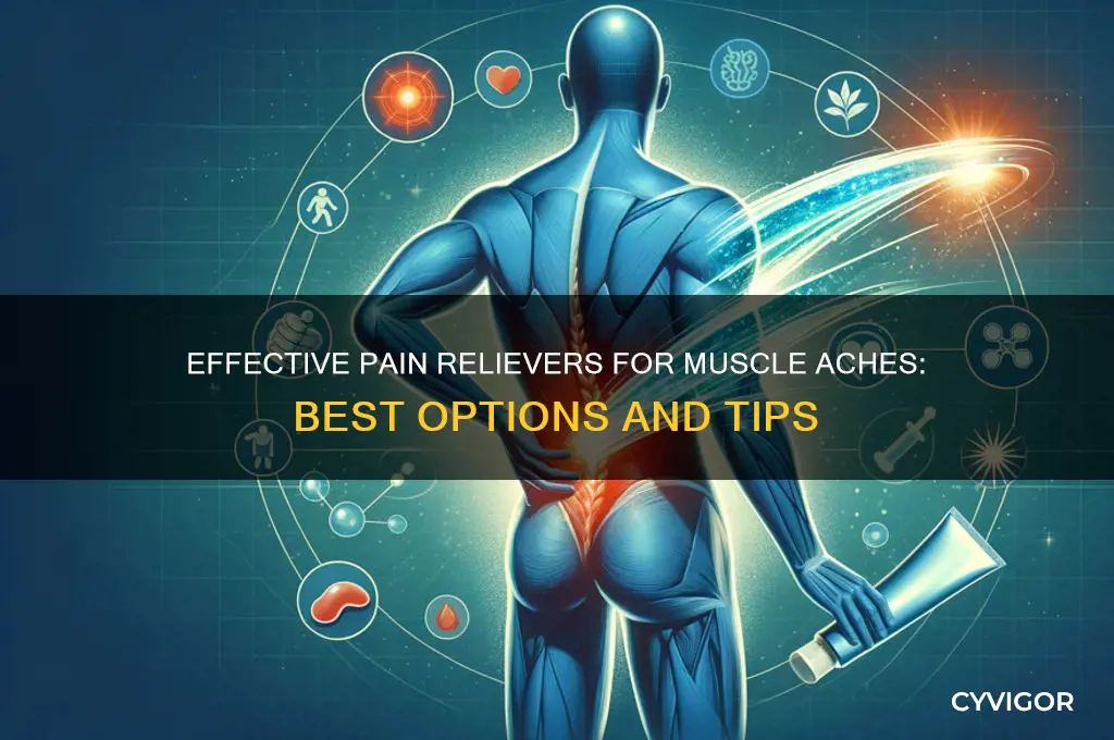 Effective Pain Relievers For Muscle Aches: Best Options And Tips | CyVigor