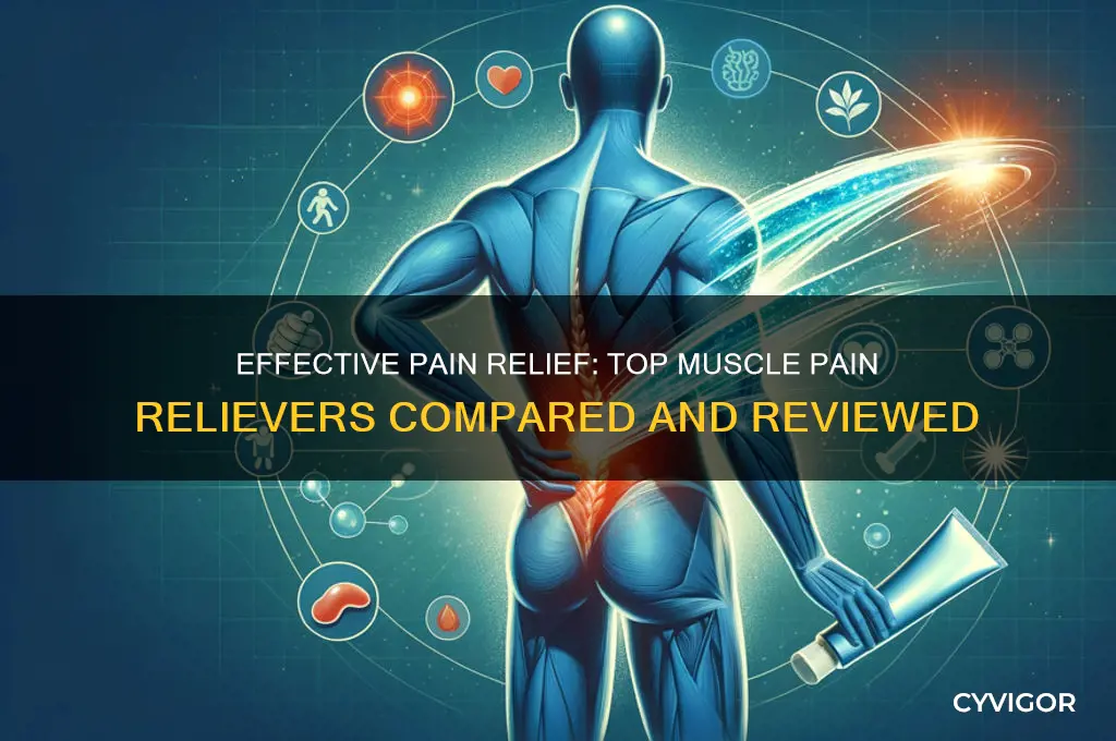 Effective Pain Relief: Top Muscle Pain Relievers Compared And Reviewed ...