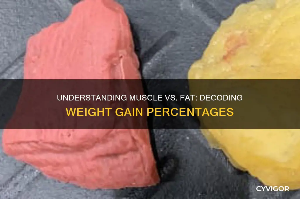 Understanding Muscle Vs. Fat: Decoding Weight Gain Percentages | CyVigor