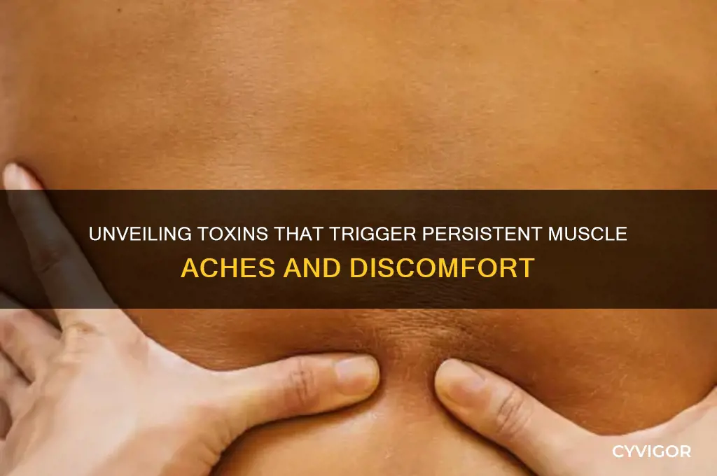Unveiling Toxins That Trigger Persistent Muscle Aches And Discomfort ...