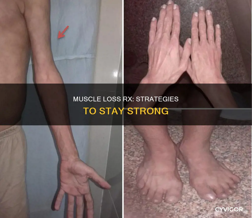 Muscle Loss Rx: Strategies To Stay Strong | CyVigor