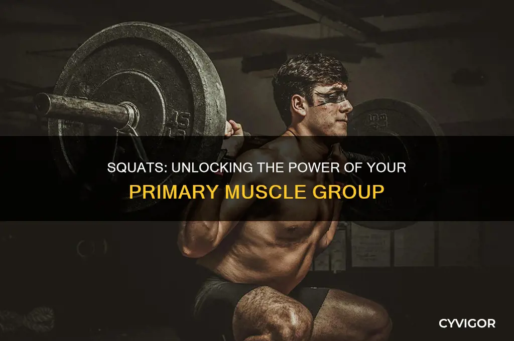 Squats: Unlocking The Power Of Your Primary Muscle Group | CyVigor