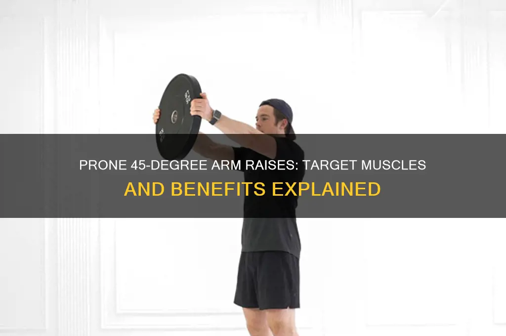 Prone 45-Degree Arm Raises: Target Muscles And Benefits Explained | CyVigor