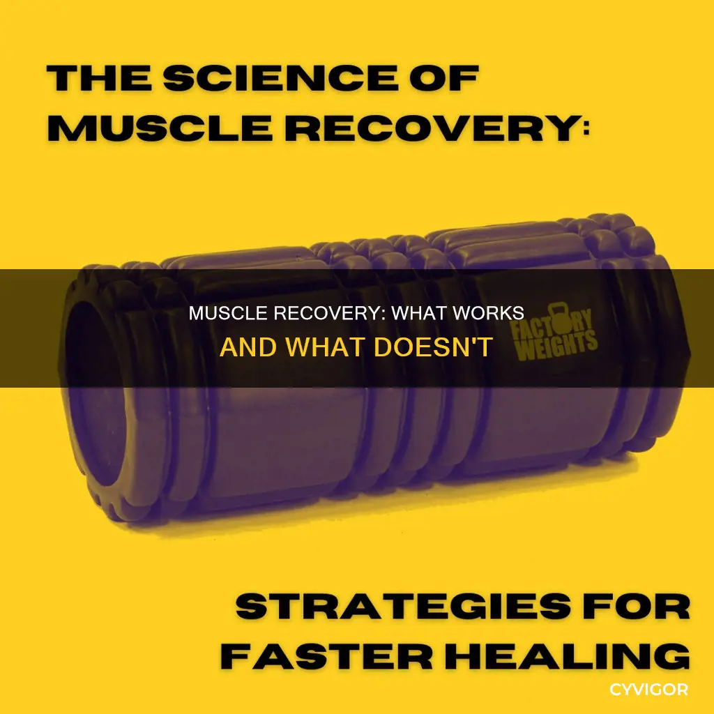 Muscle Recovery: What Works And What Doesn't | CyVigor
