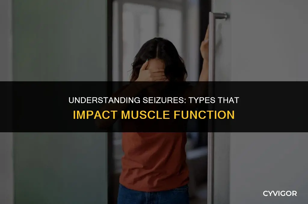 Understanding Seizures: Types That Impact Muscle Function | CyVigor