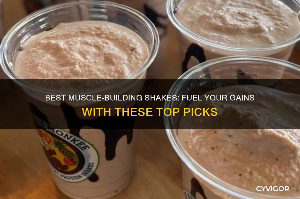 Best Muscle-Building Shakes: Fuel Your Gains With These Top Picks | CyVigor