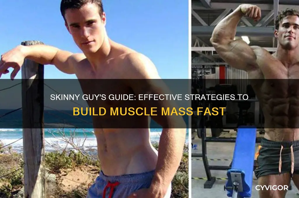 Skinny Guy's Guide: Effective Strategies To Build Muscle Mass Fast ...