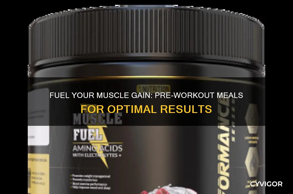 Fuel Your Muscle Gain: Pre-Workout Meals For Optimal Results | CyVigor