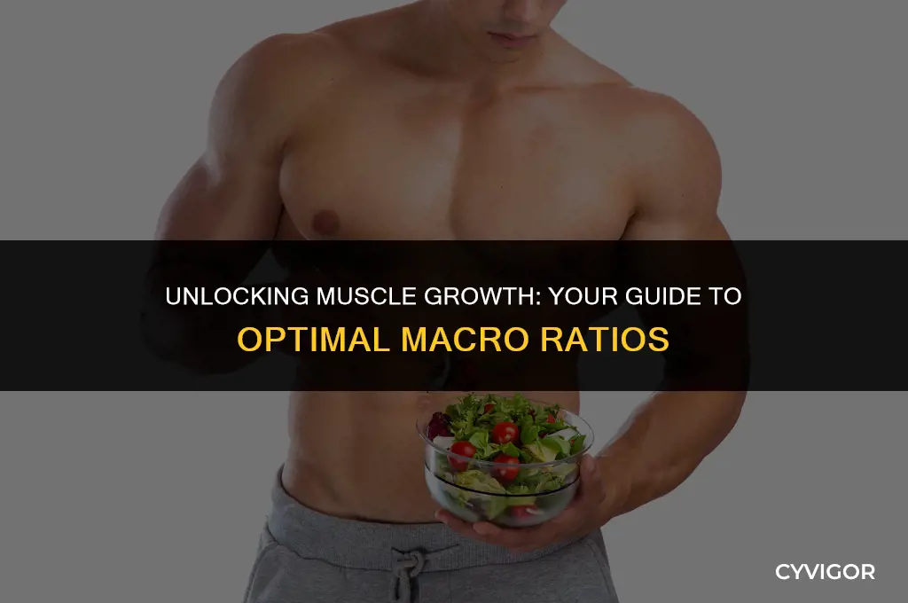 Unlocking Muscle Growth: Your Guide To Optimal Macro Ratios | CyVigor