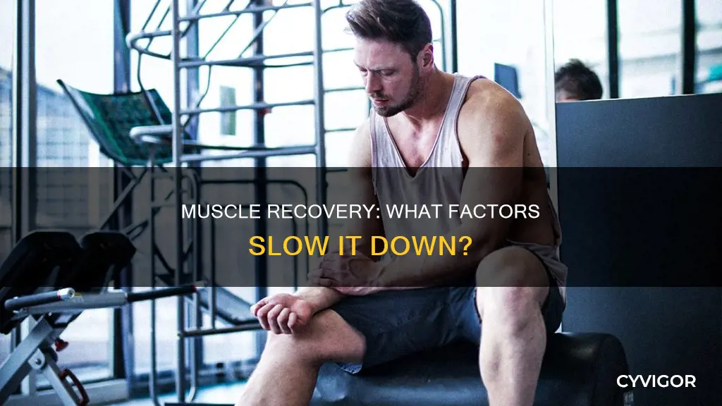 Muscle Recovery: What Factors Slow It Down? | CyVigor