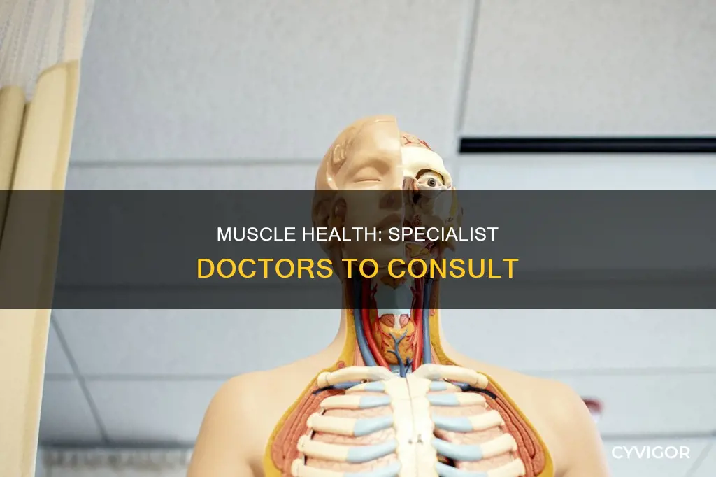 Muscle Health: Specialist Doctors To Consult | CyVigor