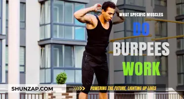Wall Sits Target Quads, Glutes, Calves, And Core Muscles | CyVigor