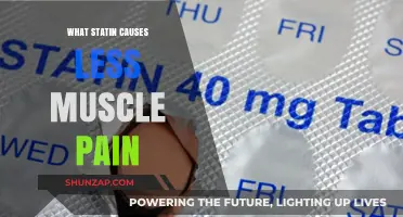 Unveiling The Role Of Actin And Myosin In Muscle Contraction | CyVigor