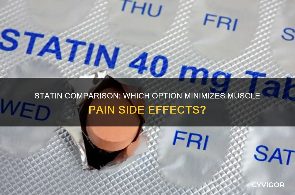 Statin Comparison: Which Option Minimizes Muscle Pain Side Effects ...
