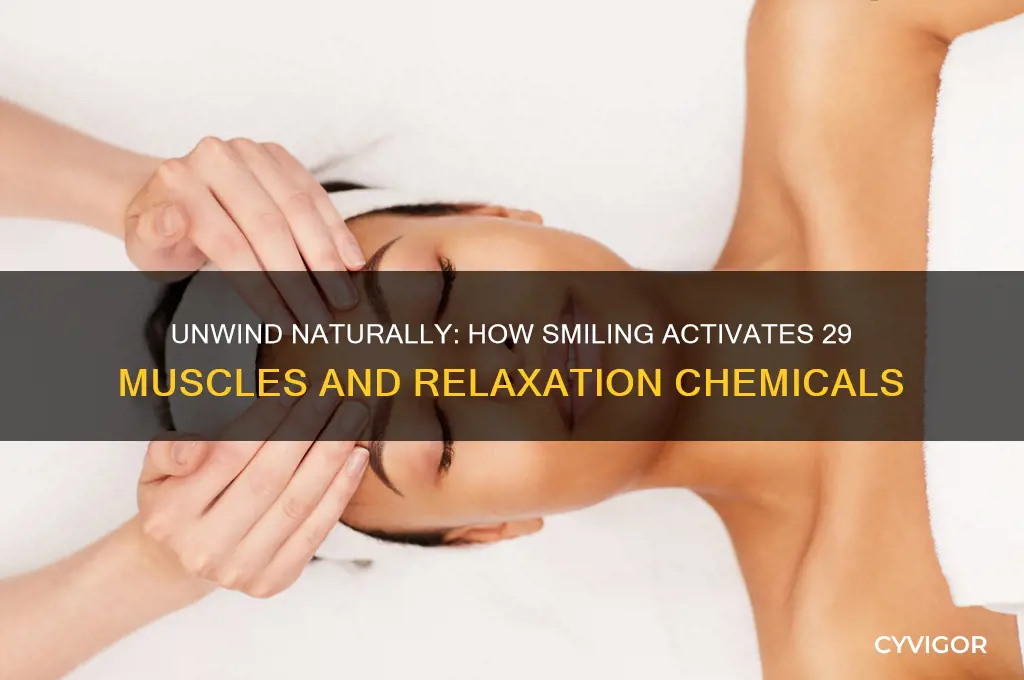 Unwind Naturally: How Smiling Activates 29 Muscles And Relaxation ...