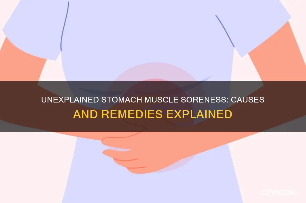 Unexplained Stomach Muscle Soreness: Causes And Remedies Explained ...