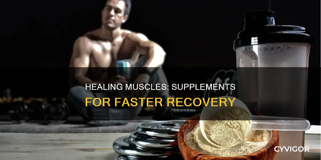 Healing Muscles: Supplements For Faster Recovery | CyVigor
