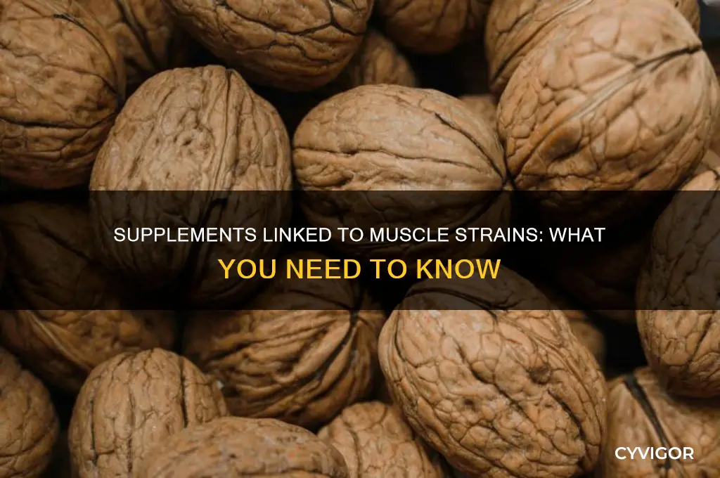 Supplements Linked To Muscle Strains: What You Need To Know | CyVigor
