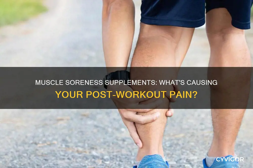 Muscle Soreness Supplements: What's Causing Your Post-Workout Pain ...