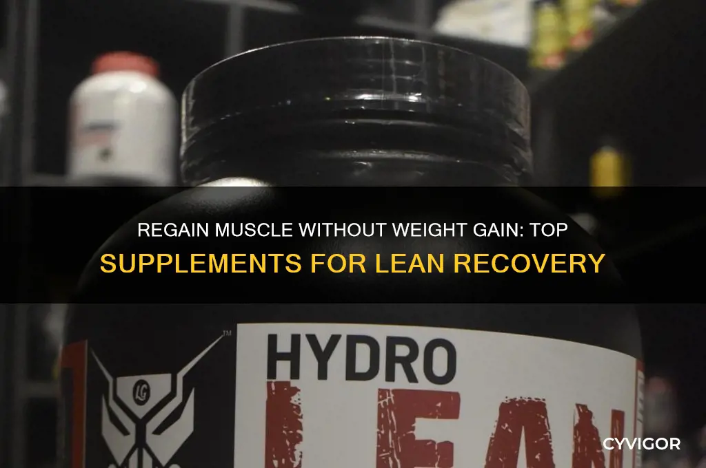 Regain Muscle Without Weight Gain: Top Supplements For Lean Recovery ...
