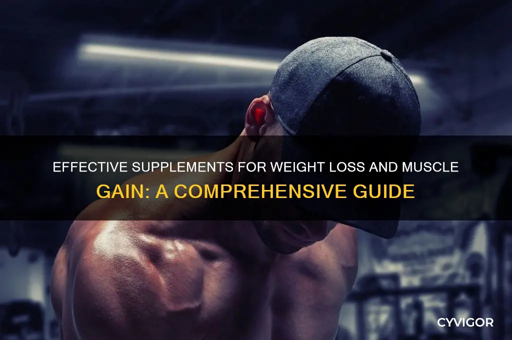 Effective Supplements For Weight Loss And Muscle Gain: A Comprehensive ...