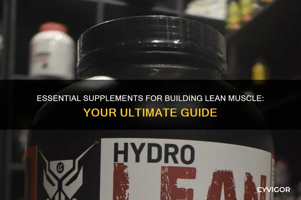 Essential Supplements For Building Lean Muscle: Your Ultimate Guide ...