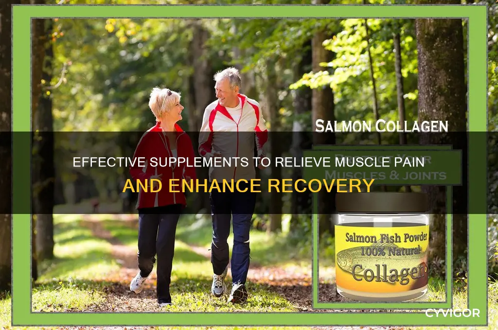 Effective Supplements To Relieve Muscle Pain And Enhance Recovery | CyVigor