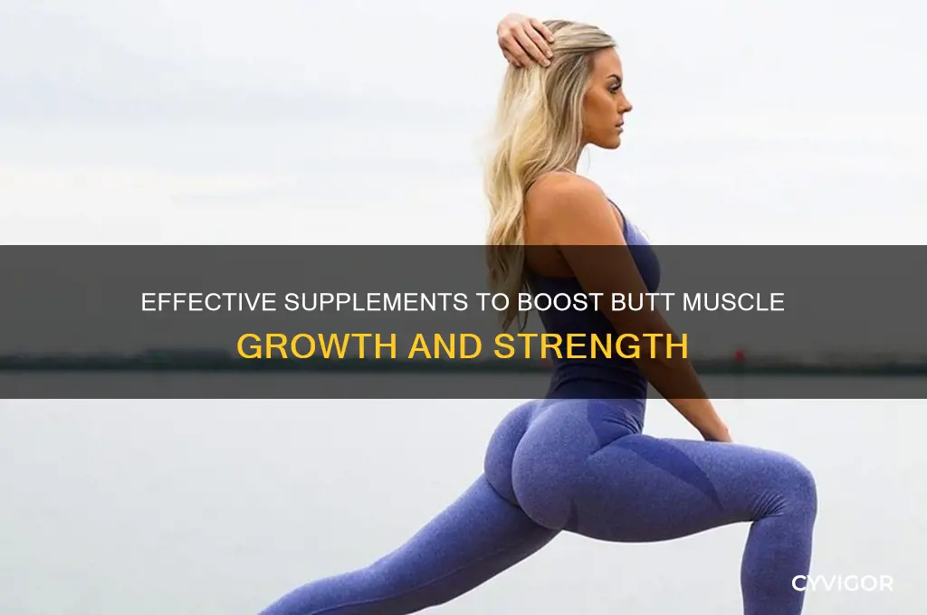 Effective Supplements To Boost Butt Muscle Growth And Strength | CyVigor