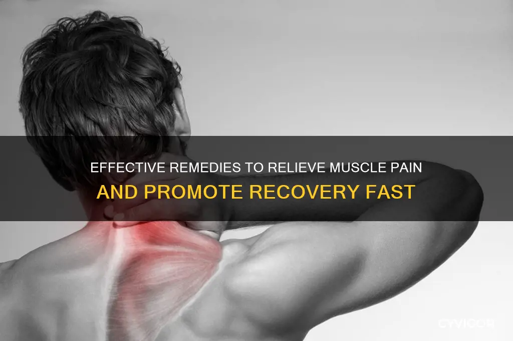 Effective Remedies To Relieve Muscle Pain And Promote Recovery Fast ...
